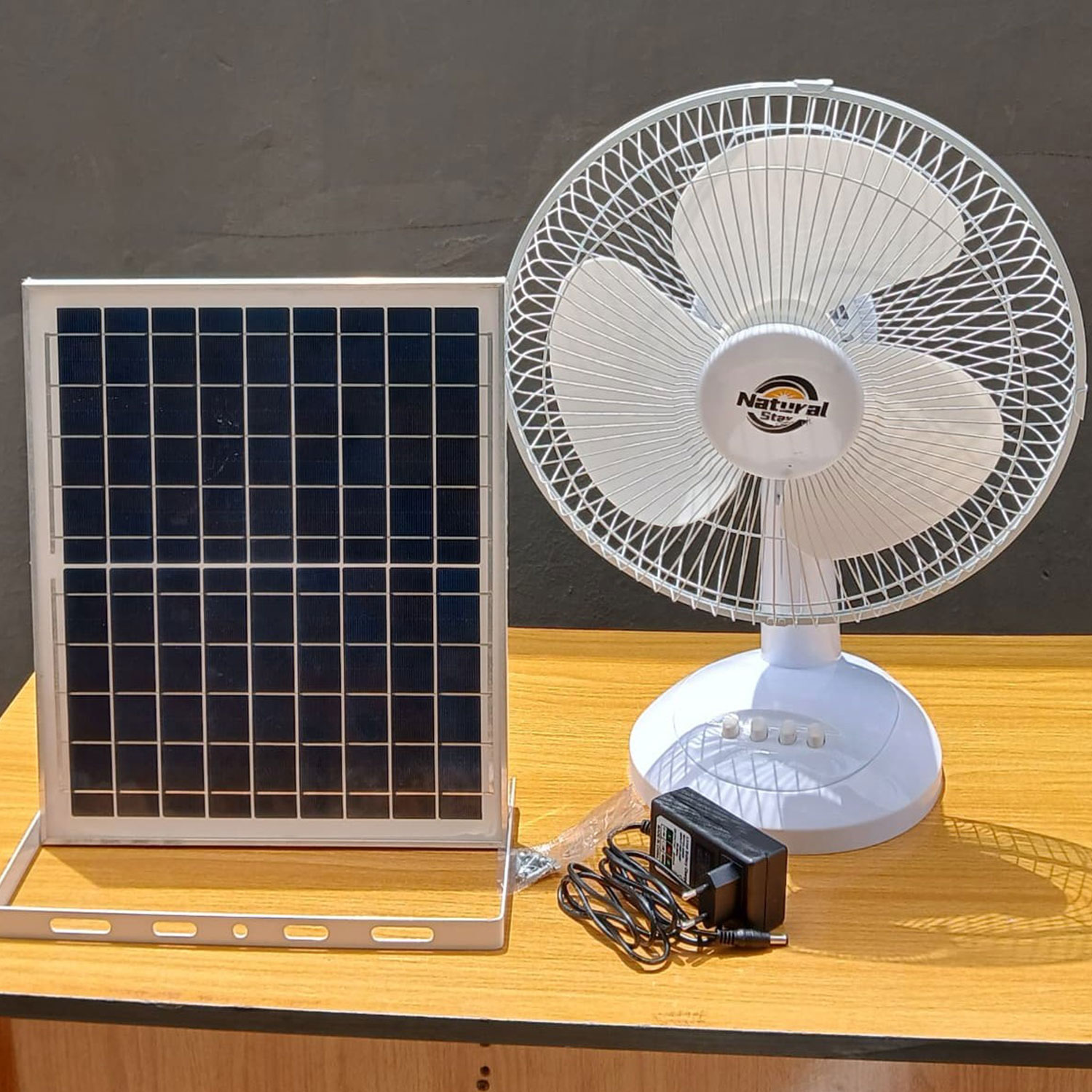 Natural Star Rechargeable Solar Fan 12 Inches – Renerworld Solar Store